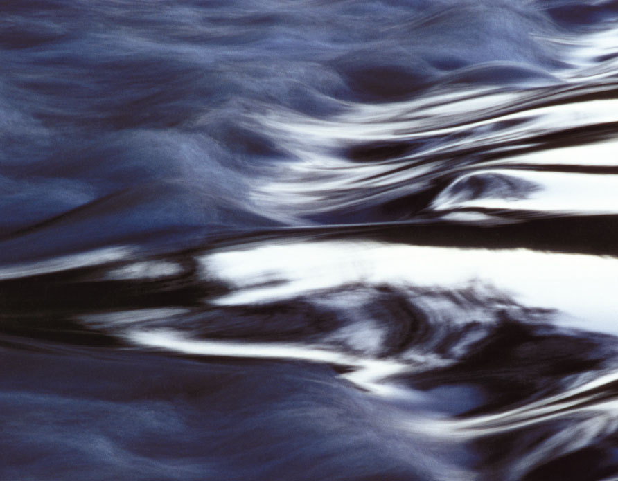 Signia review in All Music Guide | PureH : PureH